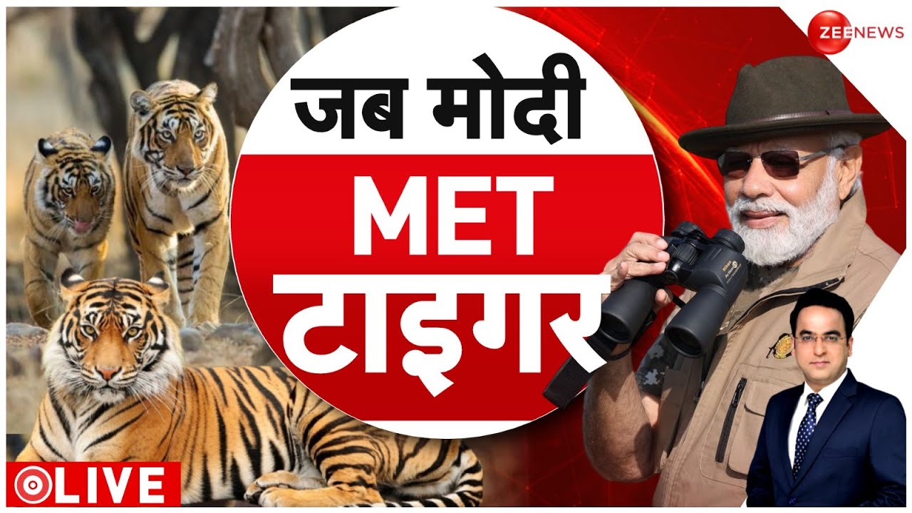 50 years of Project Tiger: मोदी का मिशन बाघ बचाओ, टाइगर...अबकी बार 3000 ...