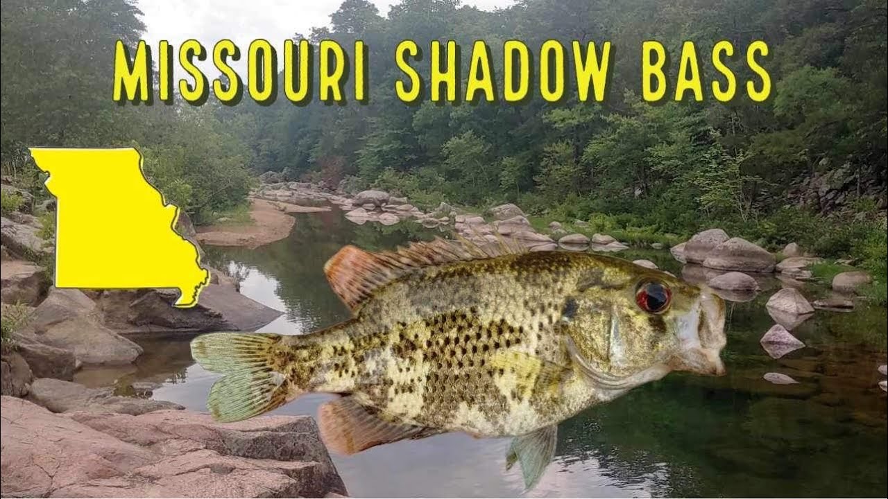 These Missouri PANFISH can ONLY be Found in Certain Places! - YouTube