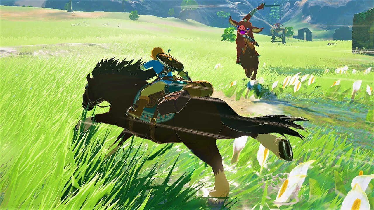 ZELDA ЗЕЛЬДА БОТВА (ЛОШАДЬ) - YouTube