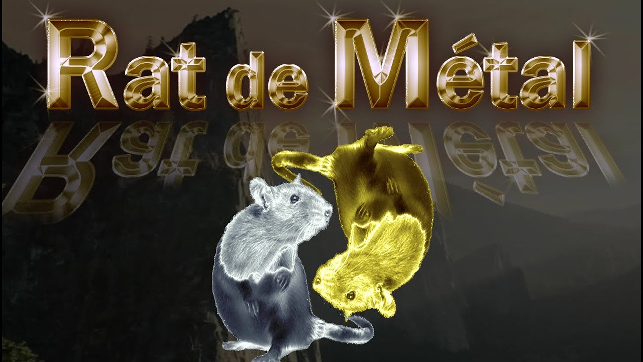 2020 L'année du rat de métal - by kokolou - YouTube