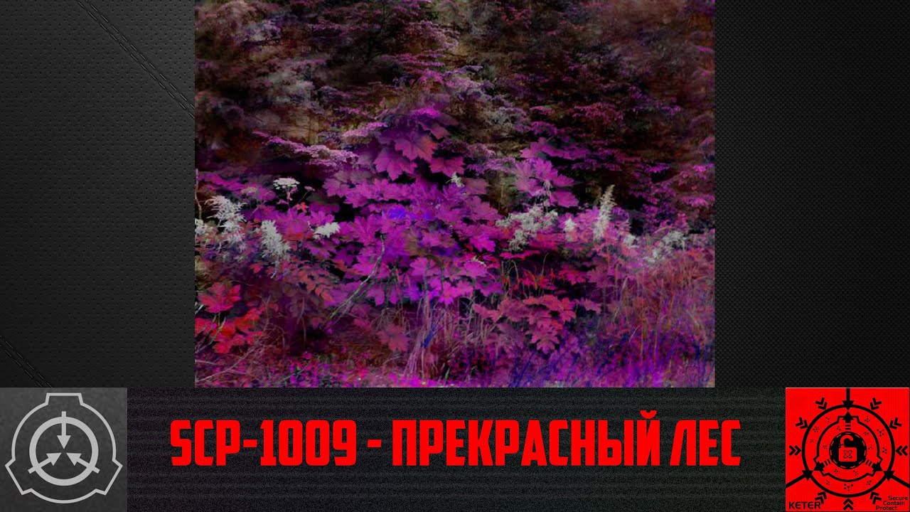 SCP-1009 - Прекрасный лес 【СТАРАЯ ОЗВУЧКА】 - YouTube