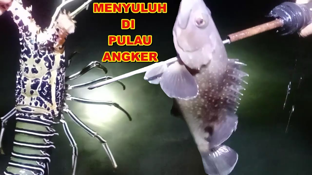 MENYULUH DI PULAU ANGKER TERNYATA BANYAK IKANNYA - YouTube