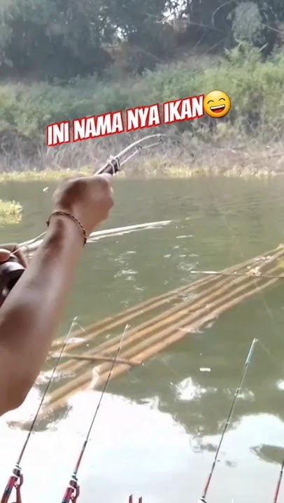 Sensasi tarikan ikan nila, rakit bang Jack, Madang || Mancing Jatiluhur terbaru - YouTube