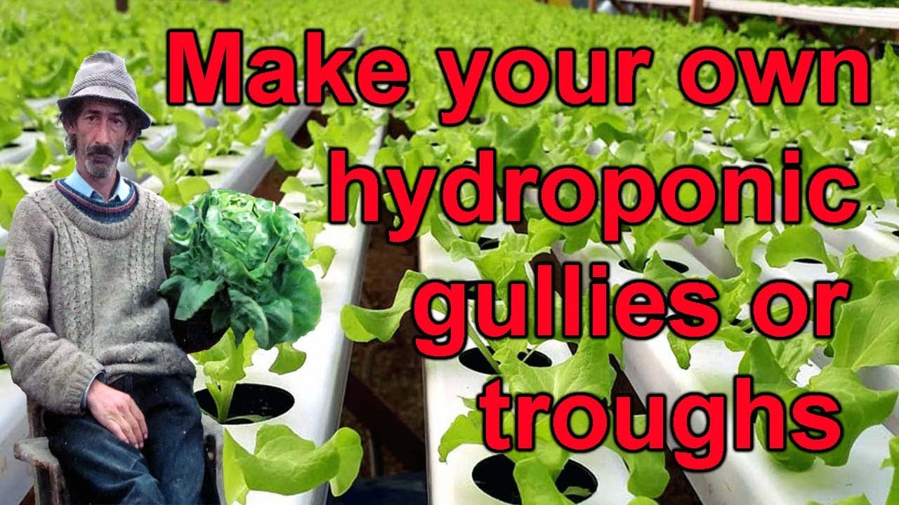 How to make gullies or troughs for NFT hydroponics using discarded ...