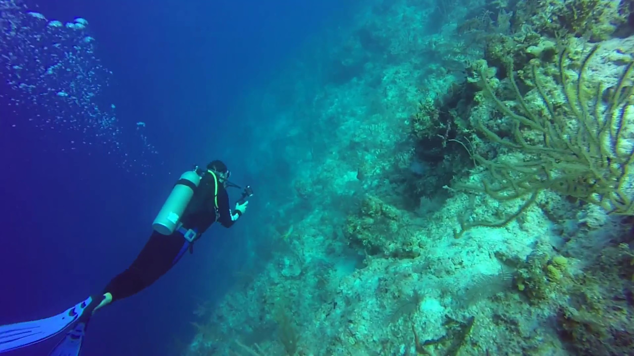 David Tucker Wreck Dive - Full Dive - Nassau Bahamas - May 9 2017 - YouTube