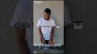 Dlala Thukzin Iplan Official Audio Feat Zaba Sykes Mr Luu De Stylist ...