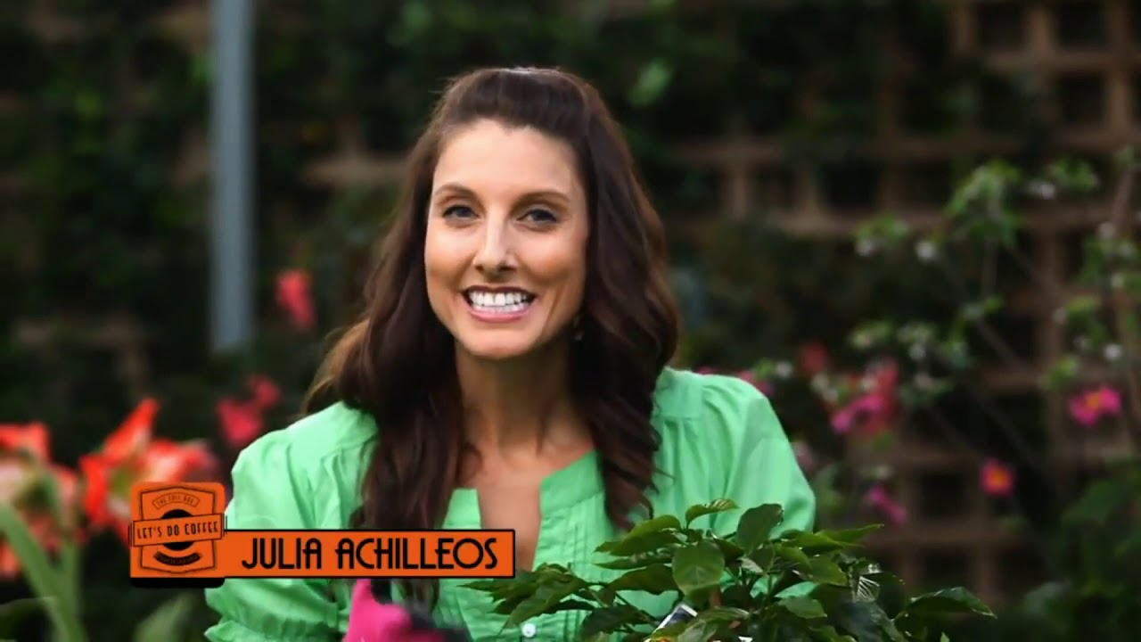 Presenter Show Reel - YouTube