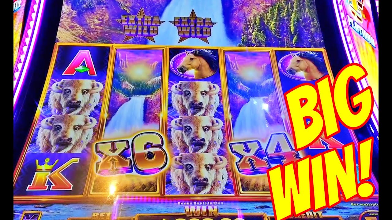 BIG WIN on Buffalo Chief Platinum slot! - YouTube