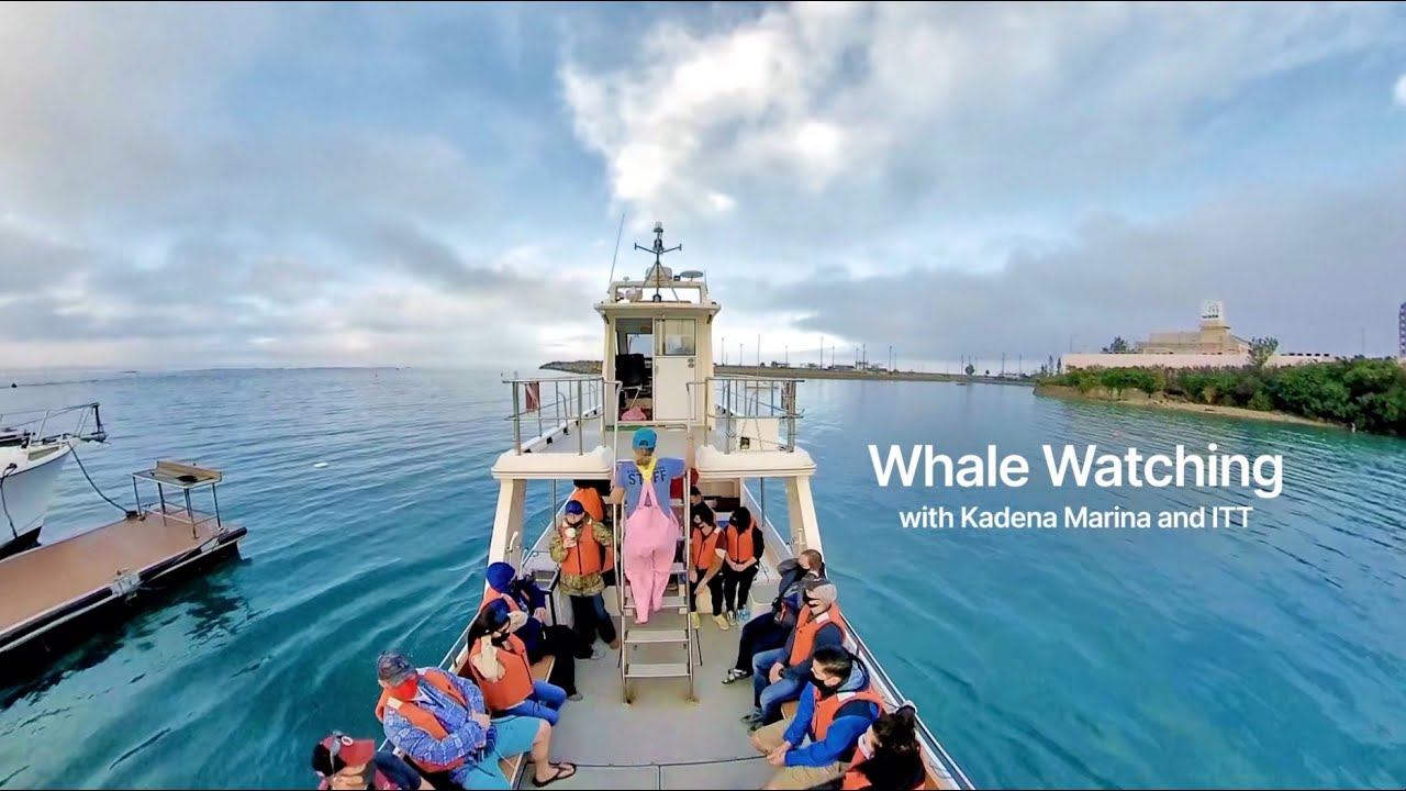 Whale Watching with Kadena Marina and ITT - YouTube