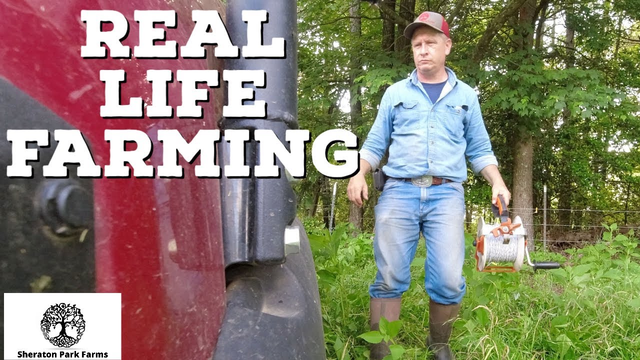 Life on a Farm: What YouTube Isn't Showing You! - YouTube