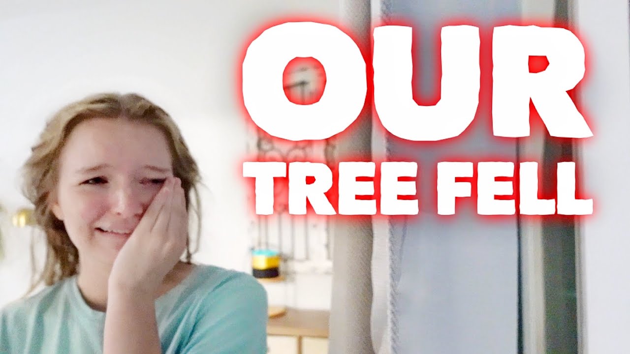 OUR TREE FELL!!! | Family 5 Vlogs - YouTube