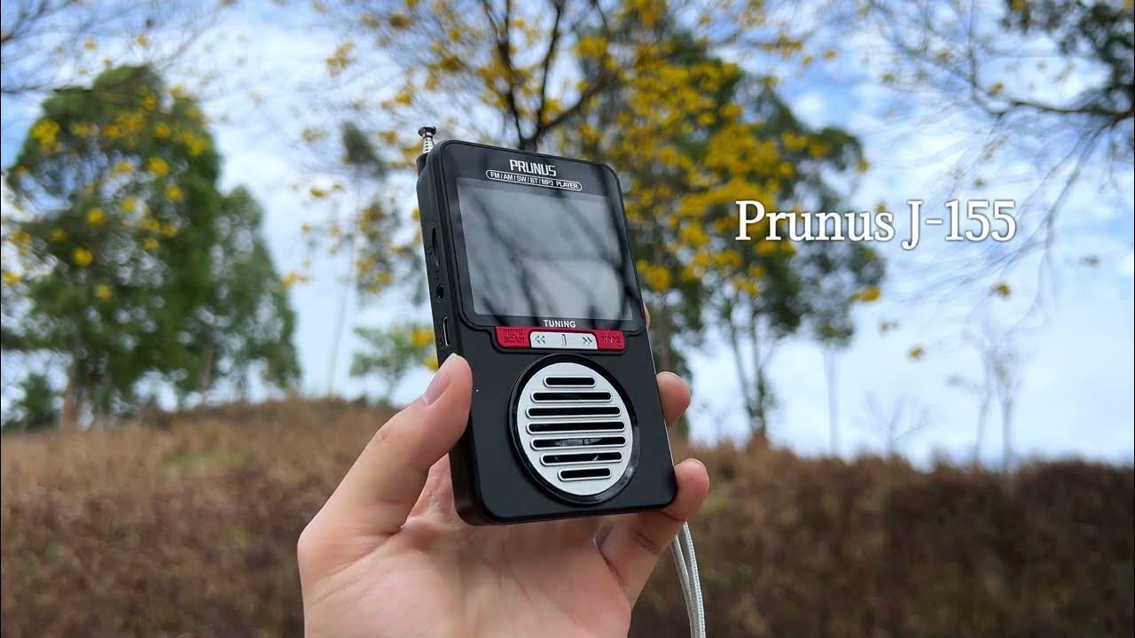 PRUNUS J-155 Radio AM/FM, Bluetooth, large screen, TF play, stereo jack, alarm clock—portable ...
