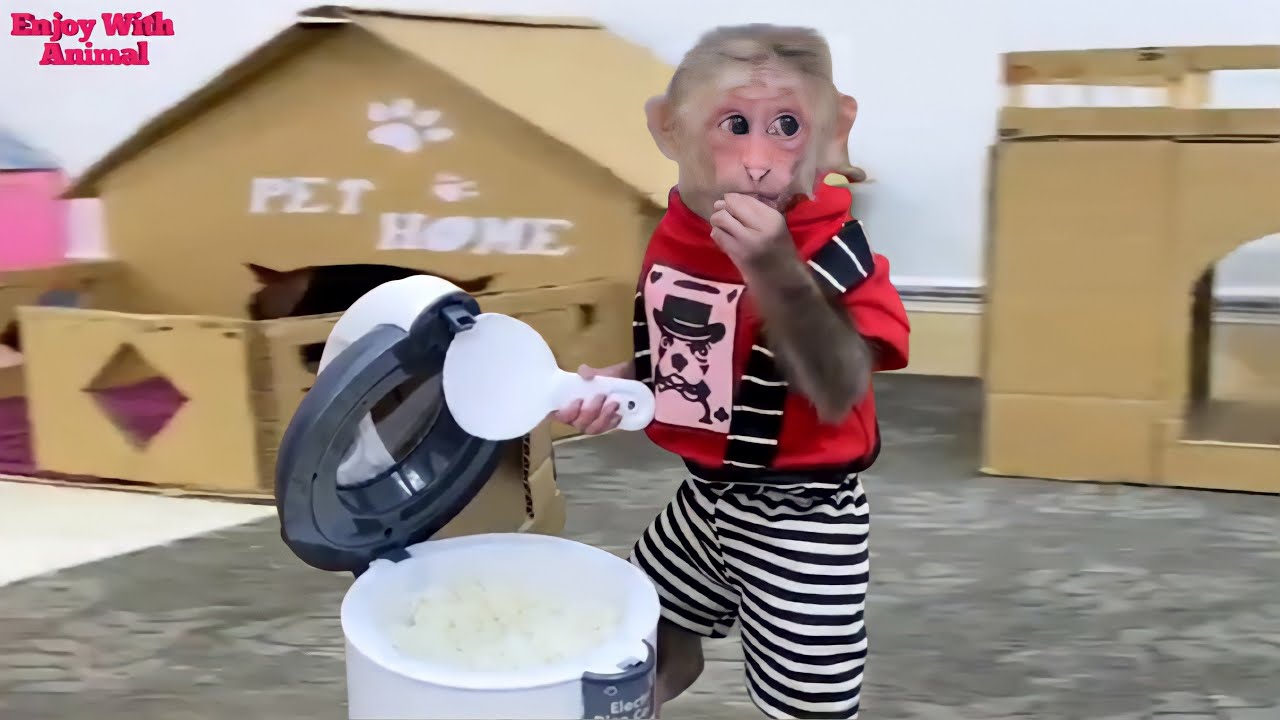 Bibi Monkey's awesome rice recipe - YouTube