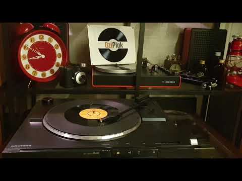 Erol Evgin Ah Bu Hayat Çekilmez - Plak Kayıt - OziPlak