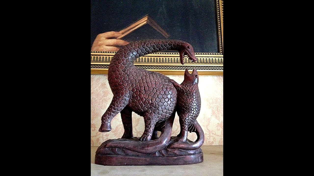 MOKELE-MBEMBE UPDATE ON NEW EXPEDITIONS AND NEVER BEFORE SEEN IMAGES ...