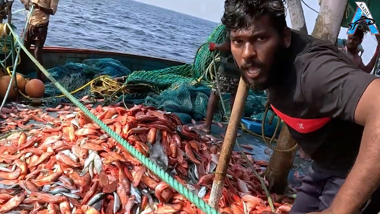 Ocean Full of Red Snapper | Mega Red Snapper Catch 🐟 | Boat Loaded with ...