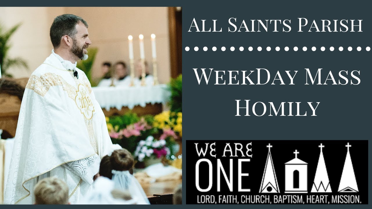 What Does Turn The Other Cheek Mean Weekday Homily Thursday 9 10 20 what-does-turn-the-other-cheek-mean-weekday-homily-thursday-9-10-20