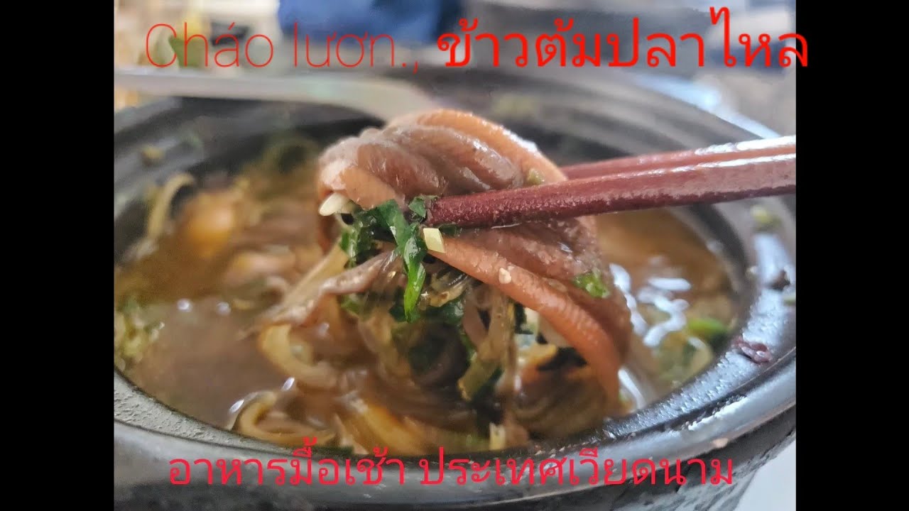 EP.3 เที่ยวเวียดนาม ข้าวต้มปลาไหล Eel porridge.Cháo lươn. travel ...