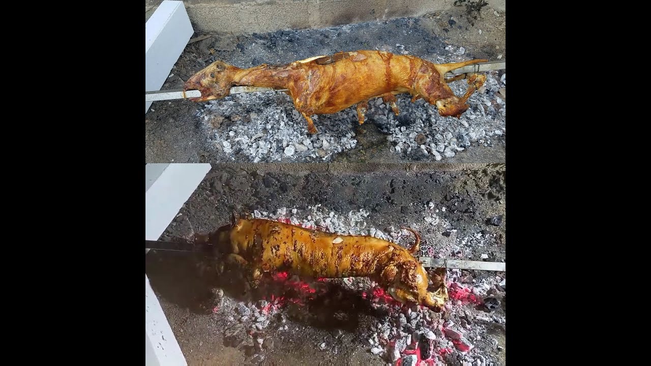 PRAGNJE!!! - Rucak Jagnje na Raznju, Vecera Prase na Raznju - Gurmanius ...