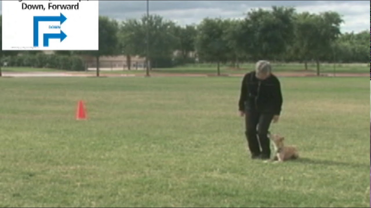 (360) Right Turn,1-2 Steps, Down, Forward - YouTube