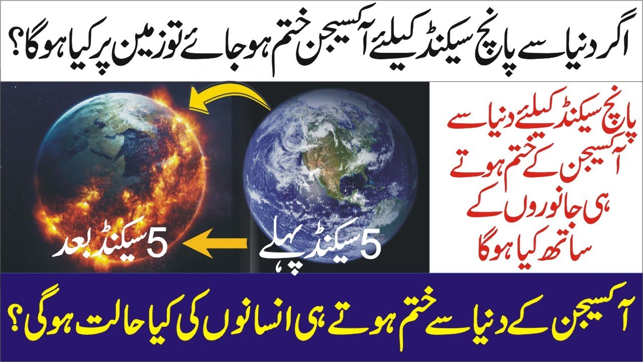 What happened if oxygen lost for just 5 second's Urdu/Hindi | Earth ...