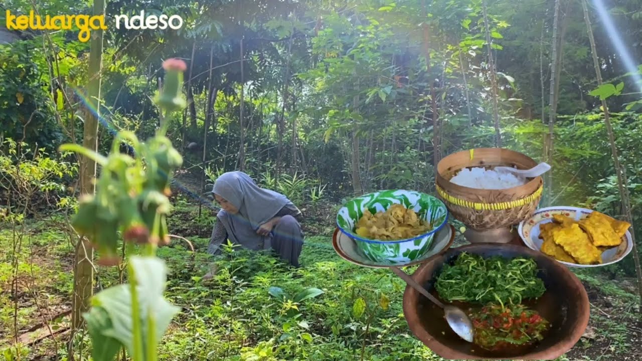 makan siang dengan blendrang tewel, sambel kemangi,tempe goreng ...