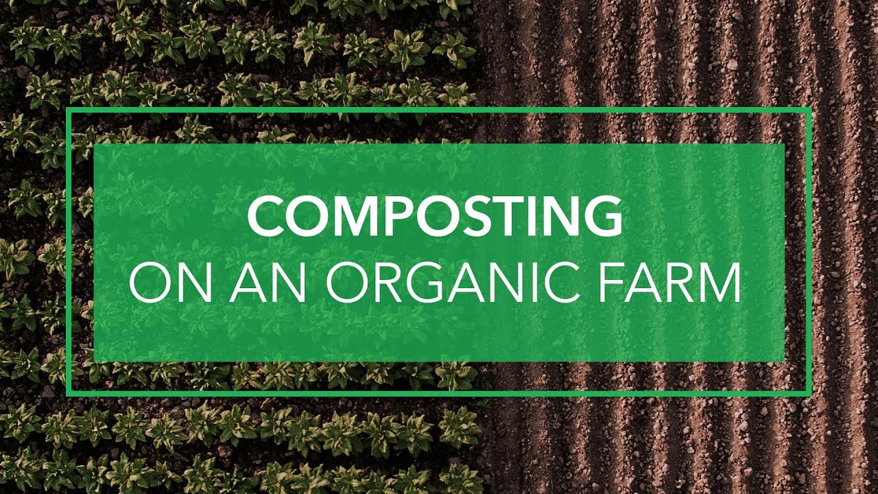 Composting On An Organic Farm - YouTube