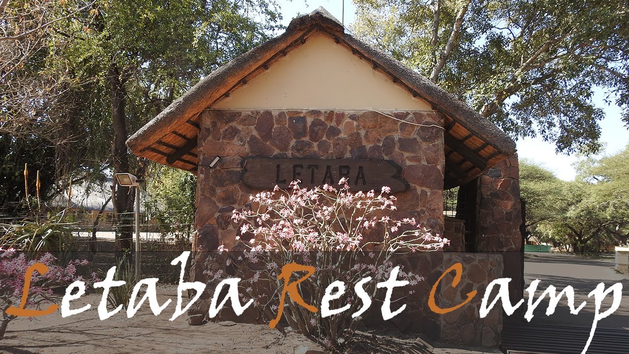 Letaba Rest Camp Video Walk Through, Overview & Elephant Hall Museum ...