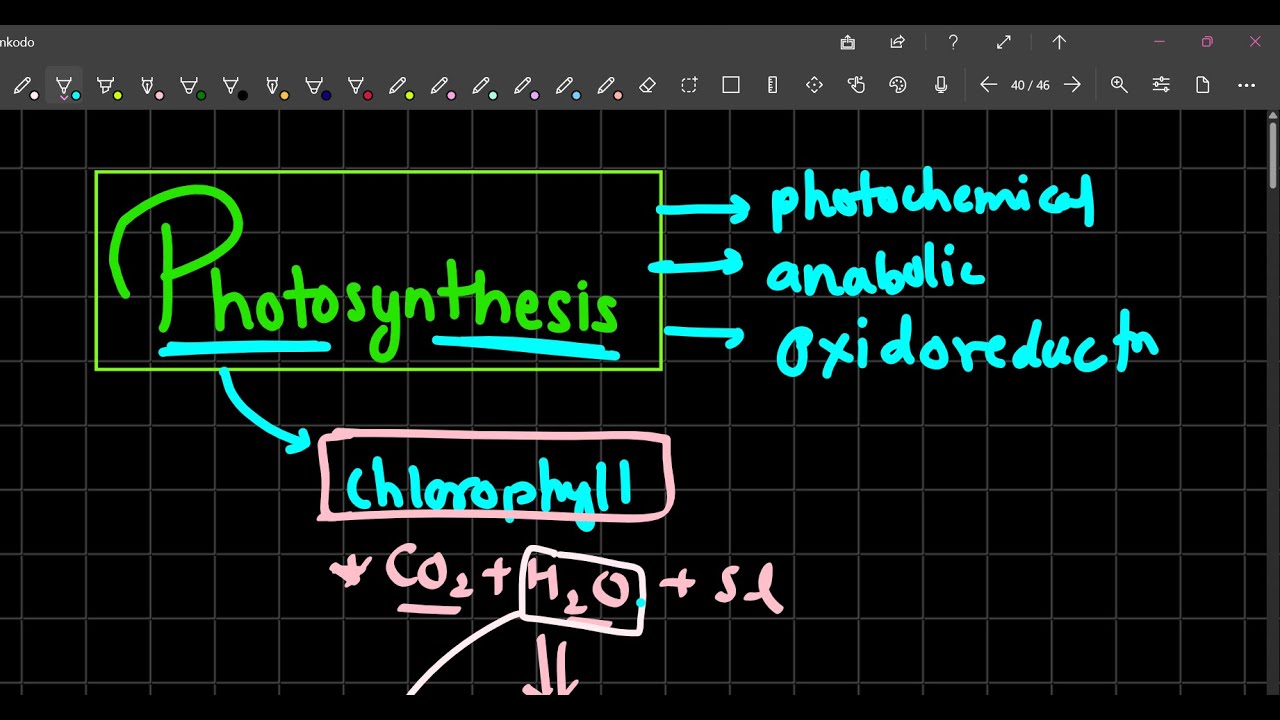 Class 11 PHOTOSYNTHESIS SHORT NOTES CLASS 12 BIOLOGY NEET MHTCET ...