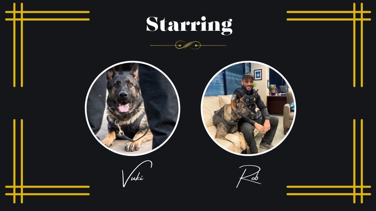 Meet our new K9 Unit! - YouTube