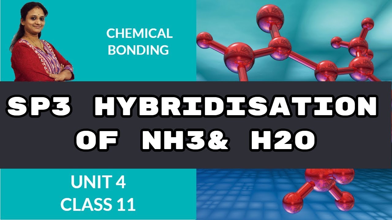 SP3 Hybridisation of NH3 & H2O | chemical bonding | CBSE Class 11 ...