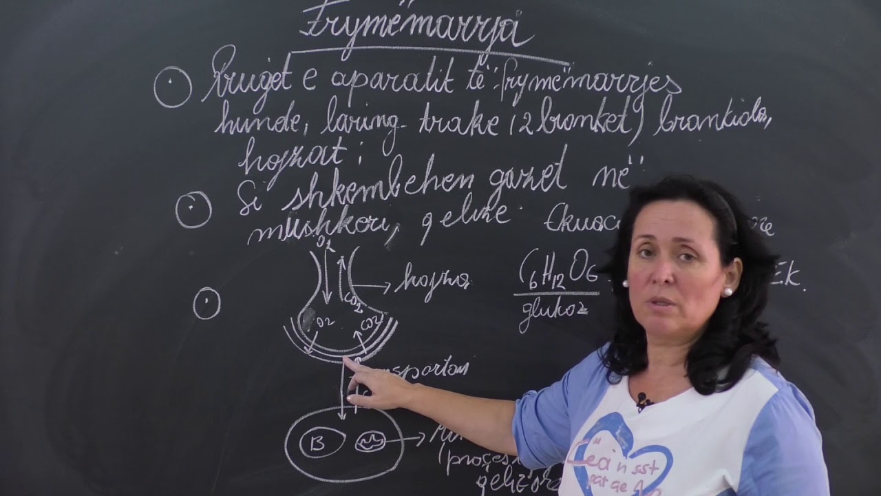 BIOLOGJIA 8 - Frymëmarrja - YouTube