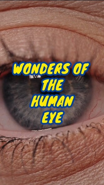 Marvels of the Human Eye - YouTube