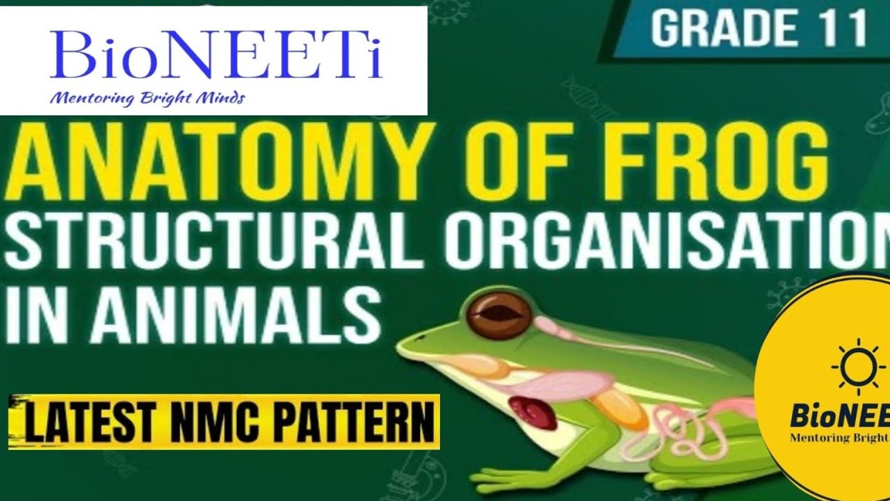 NEET 2024 Frog One Shot Updated Syllabus Biology NCERT Class 11 - YouTube