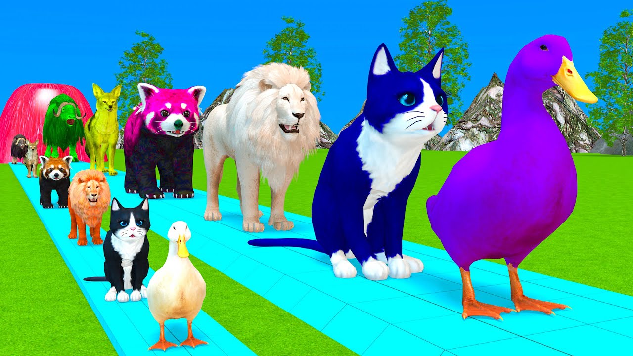 Long Slide Game With Elephant Gorilla Buffalo Hippopotamus Tiger 3d ...