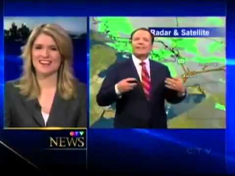 Weatherman Loses Microphone to Polar Bears - YouTube