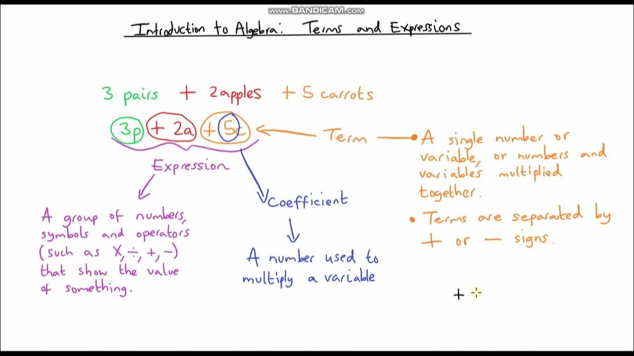 Basic Language of Algebra - Terms and Expressions - YouTube