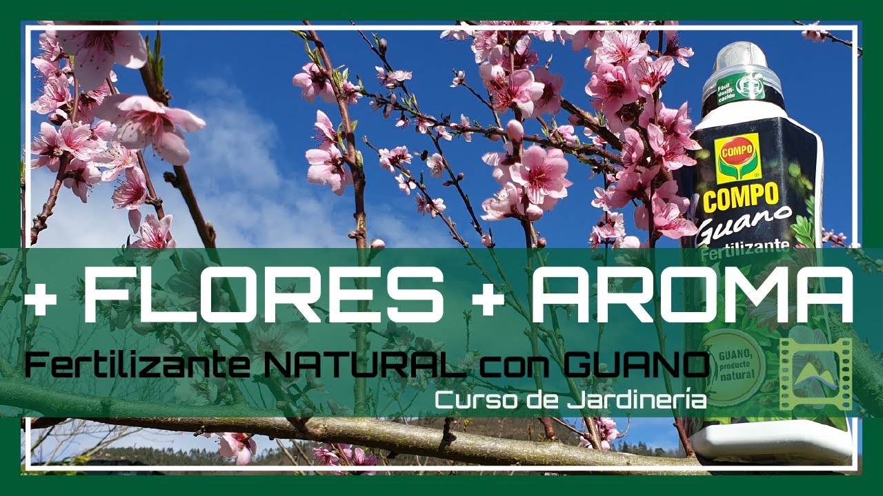 💩 ¿Qué es el GUANO y para qué sirve? 🌱 Abono ECO [Capítulo 40] Curso ...