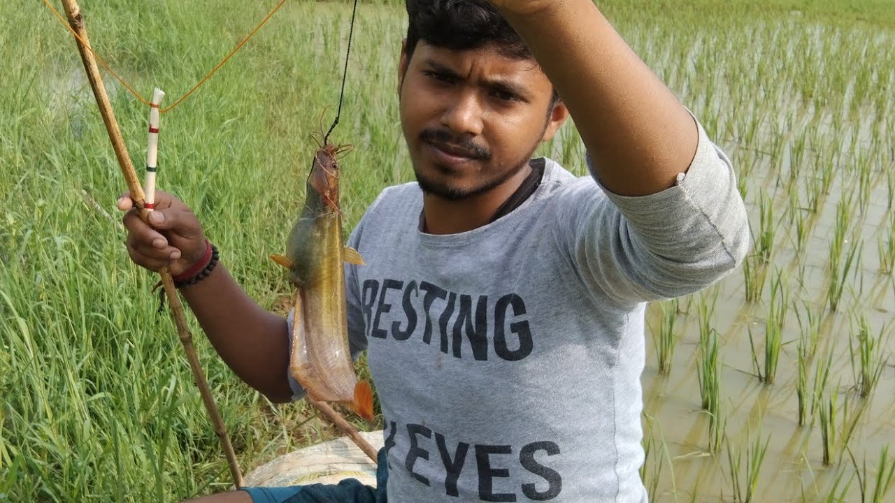Fishing Video/Canal Fishing/Hook fishing/Geol Fish/boy fishing the ...