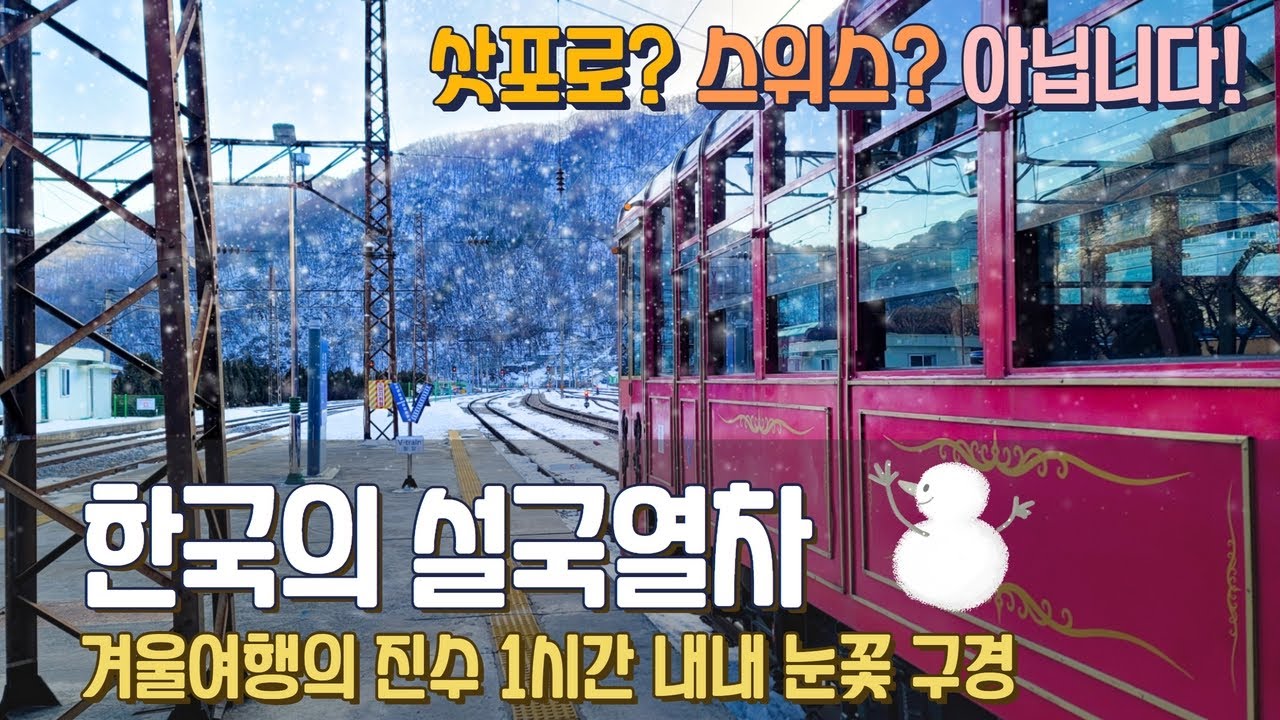 겨울 여행 끝판왕 스위스 기차여행 안부러운 겨울 눈꽃열차 백두대간 협곡열차 V Train 겨울여행의 진수는 기차여행이죠