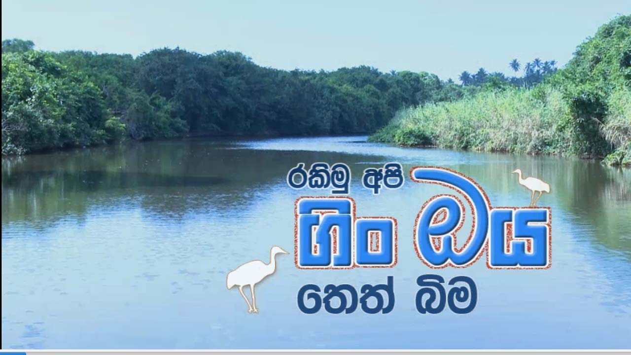 CEA-Gin Oya wetland - YouTube