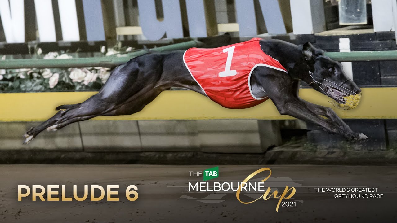 2021 TAB Melbourne Cup Prelude 6 | Music Event - YouTube