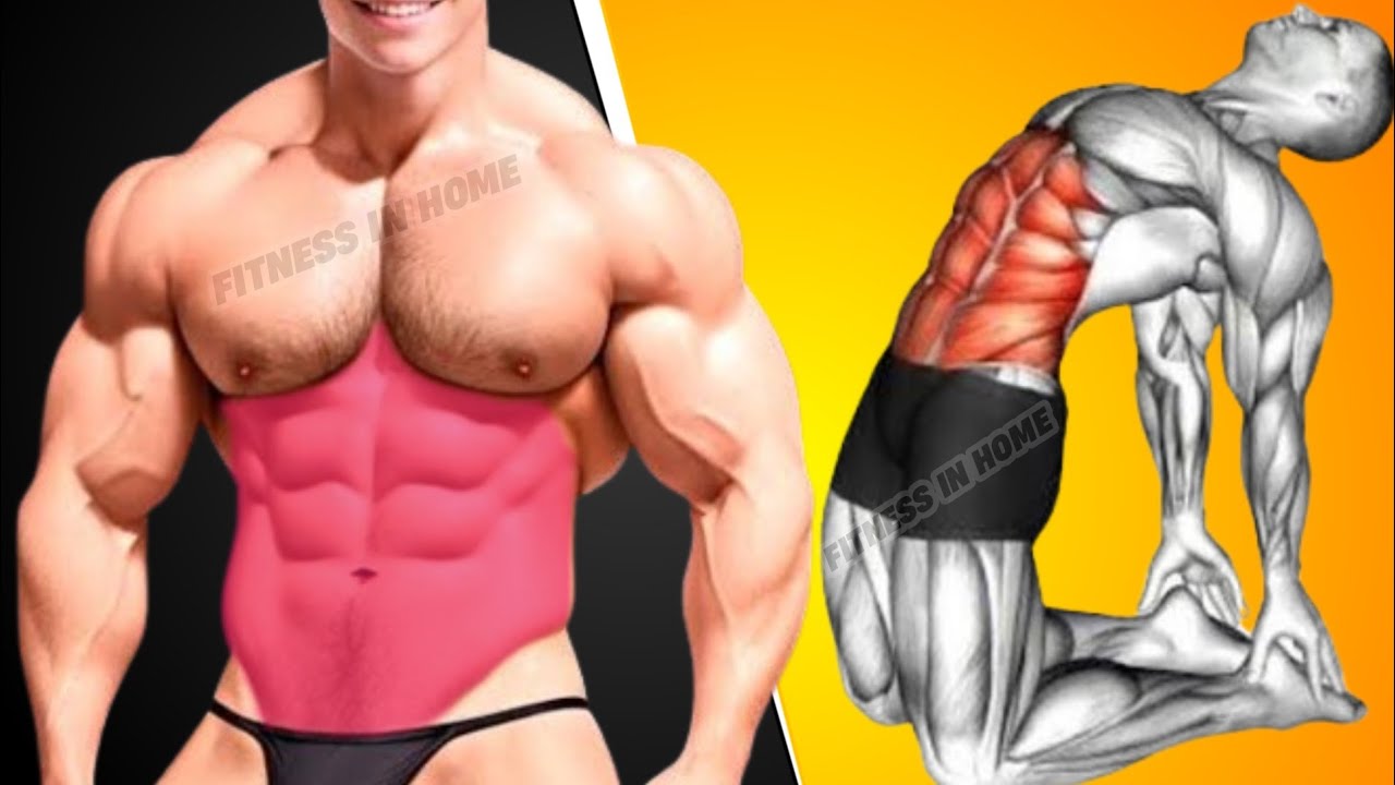 8 Abdos Workout Home Exercise || Fitness In Home - YouTube