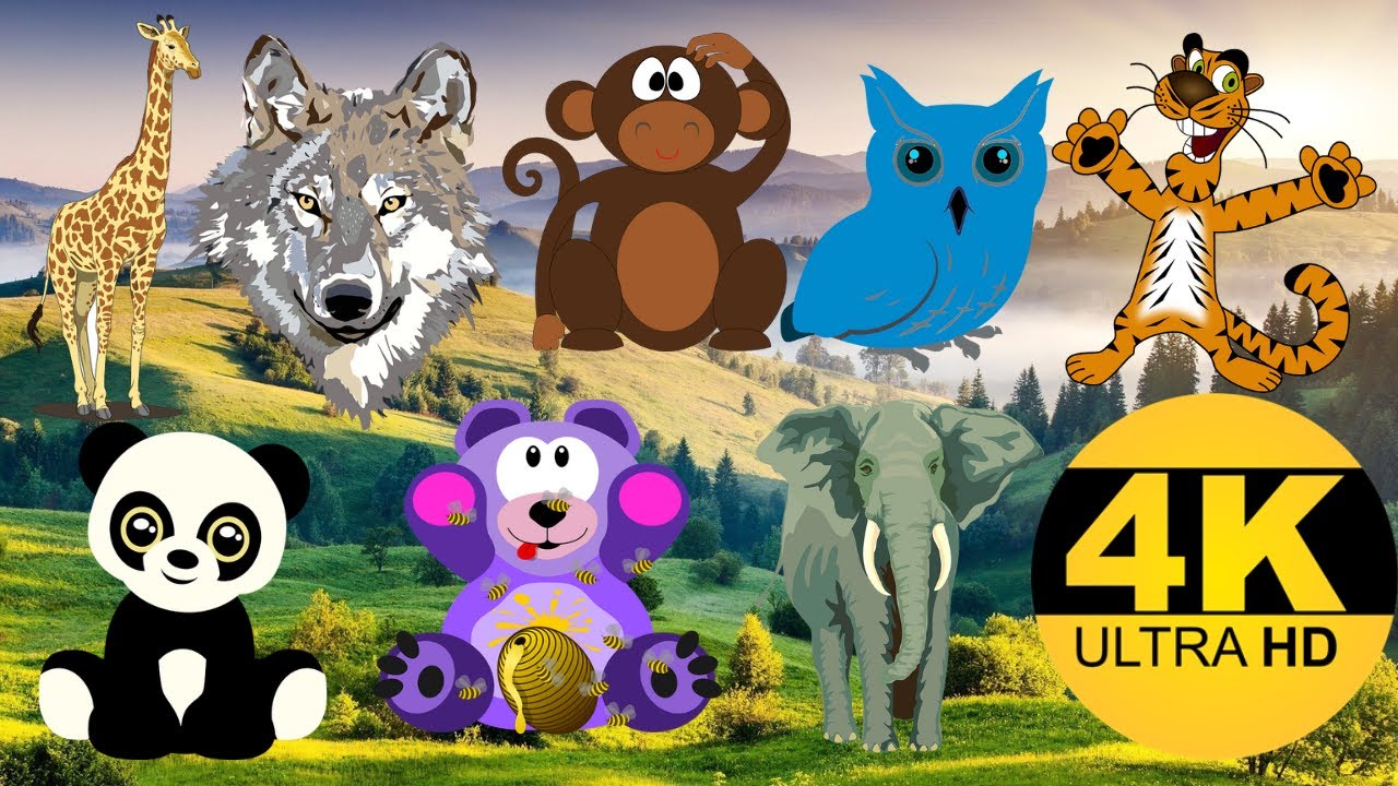 Feel the animal life: Elephant, Giraffe, Dog, Cat,Horse,Lion,Tiger ...