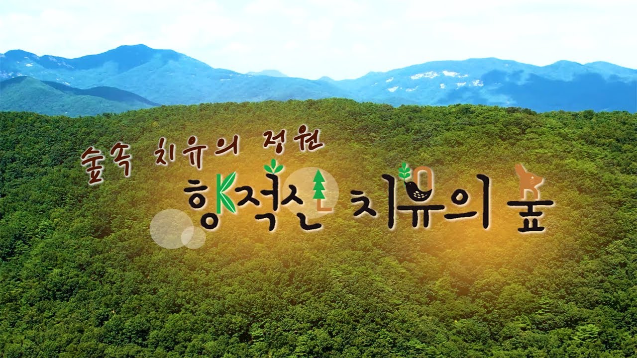 계룡시 향적산 치유의 숲 홍보 영상 3분 Youtube