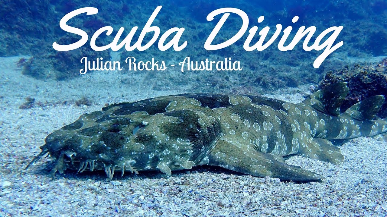 Scuba Diving Julian Rocks in Byron Bay Australia! - YouTube