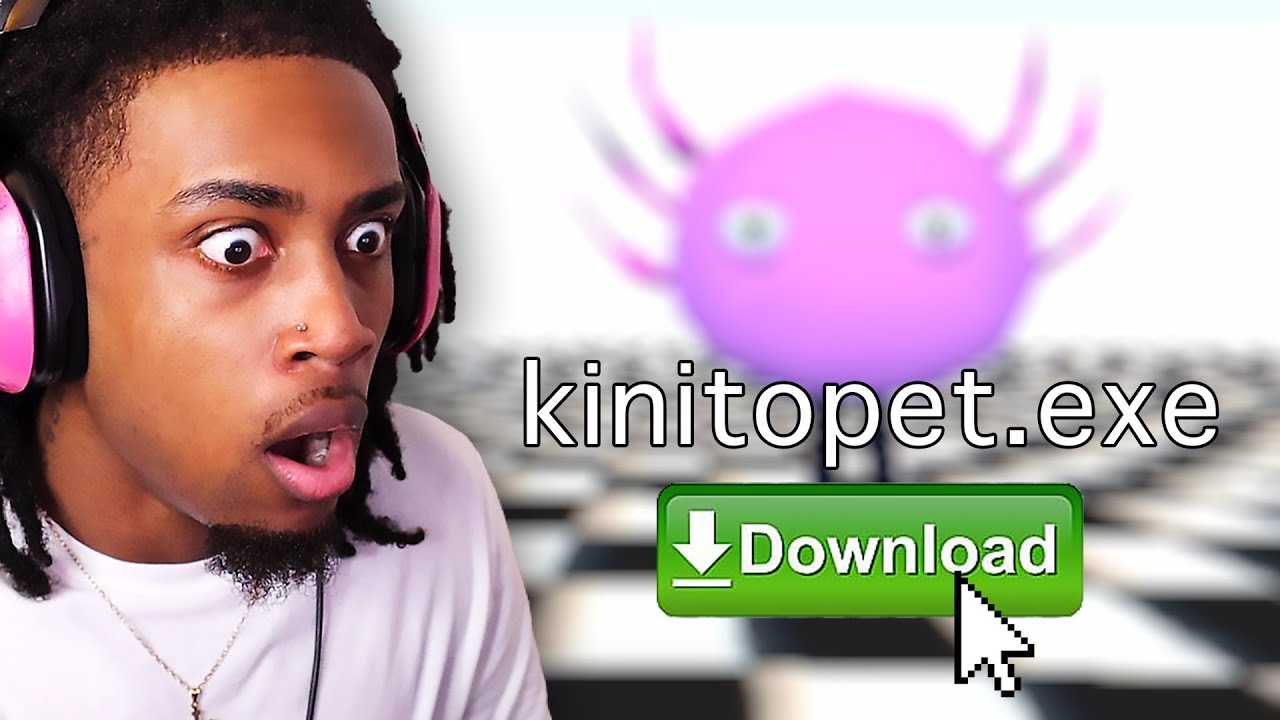 DO NOT DOWNLOAD kinitopet.exe - YouTube