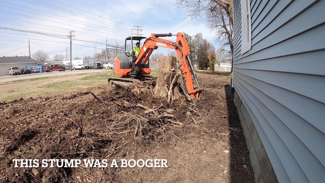 Clearing an Overgrown Fence Line & 3 Stumps - YouTube