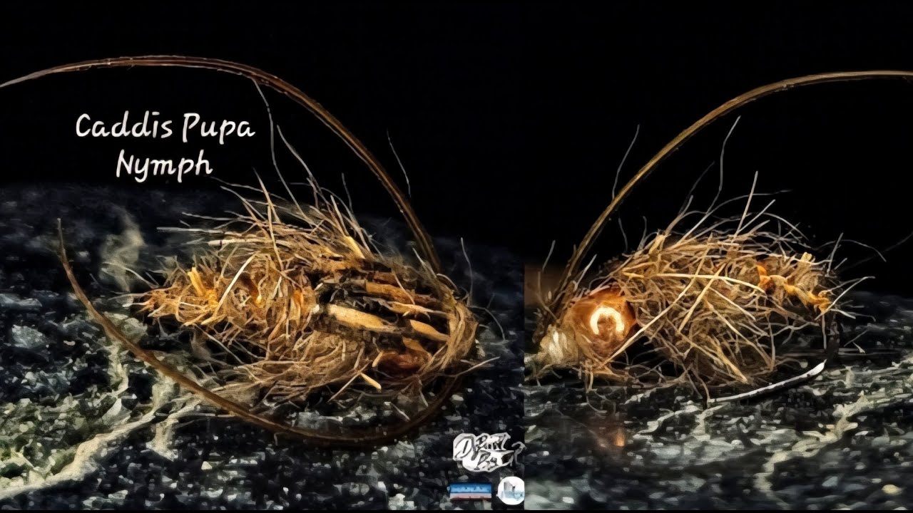 Tying a Caddis Pupa Nymph - Tied by Matthias Dibiasi - DePunkt Fly ...