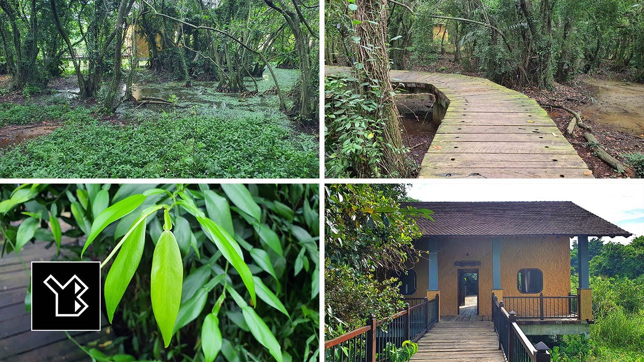 Kotte Rampart Wetland Park - video 1 - YouTube